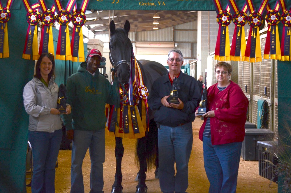 Friesian Heritage & Sporthorse News & Promotions